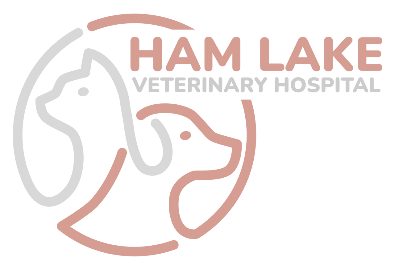 Best Vet in Ham Lake, MN | Ham Lake Veterinary Hospital