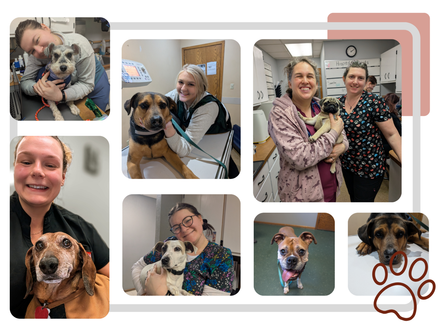 Best Vet in Ham Lake, MN | Ham Lake Veterinary Hospital